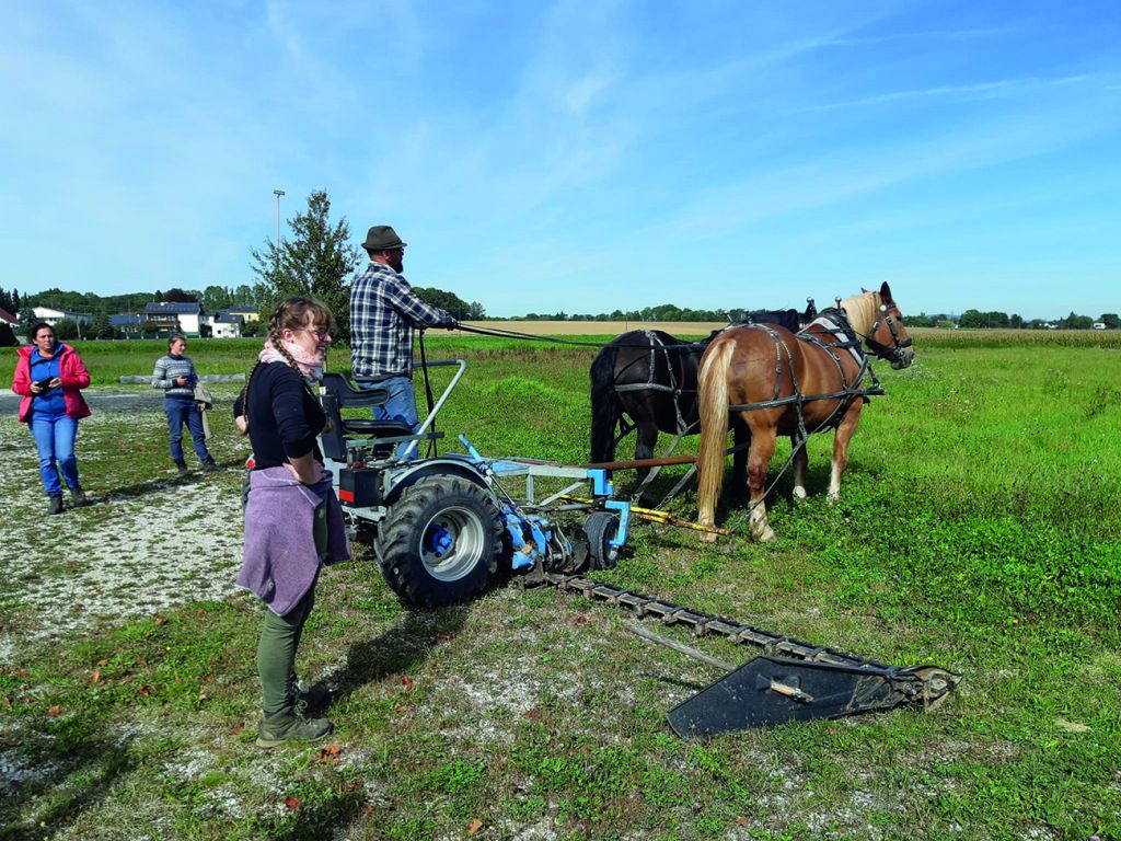 Geräte und Technik für den Ackergaul - bauernnetzwerk
