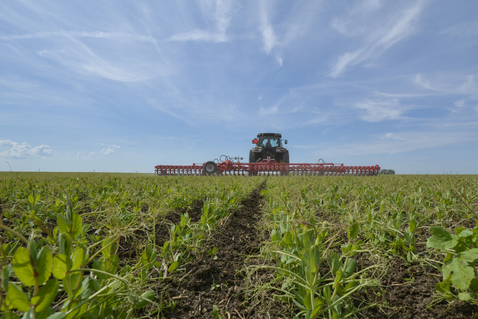 Neues Ackerbauverfahren mit festen Reihen - bauernnetzwerk